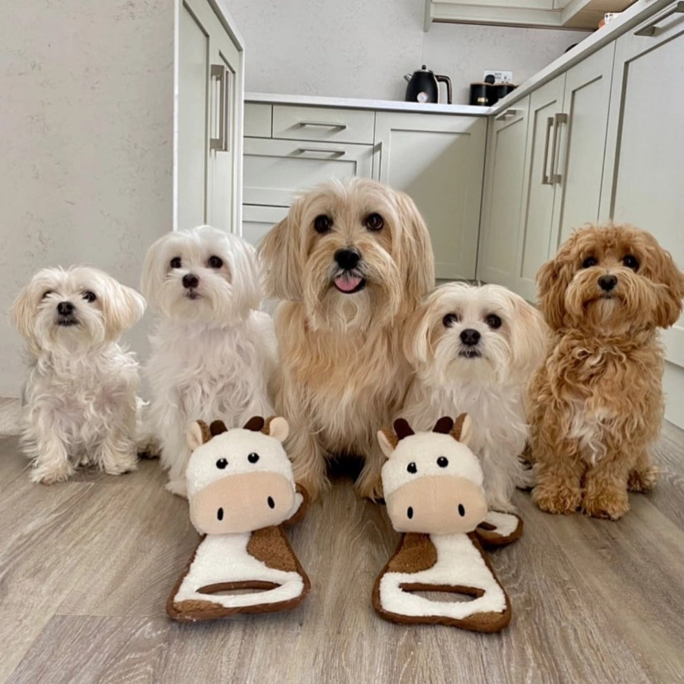 Cow Plush Dog Toy - MyDogify